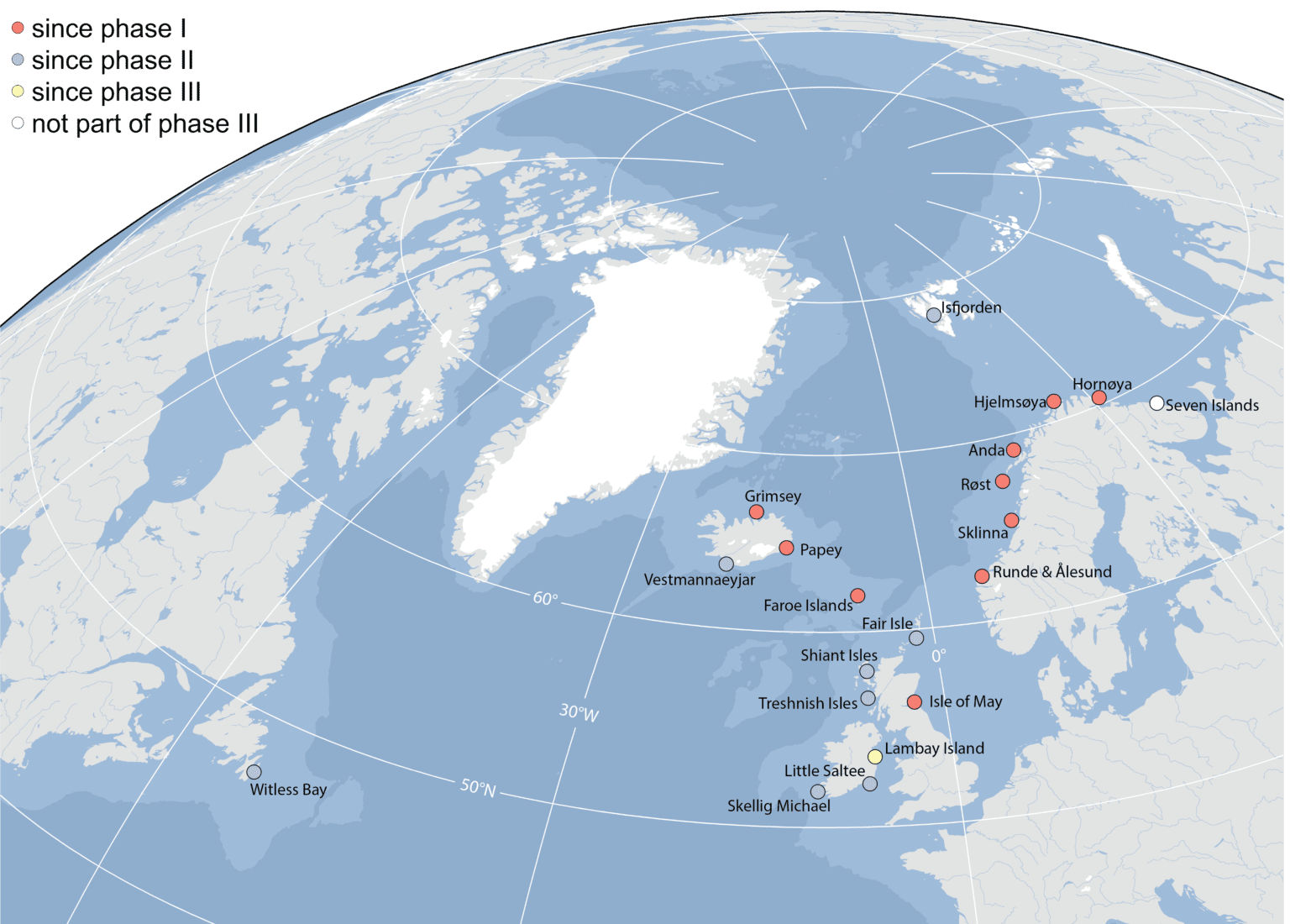 Atlantic puffin - SEATRACK