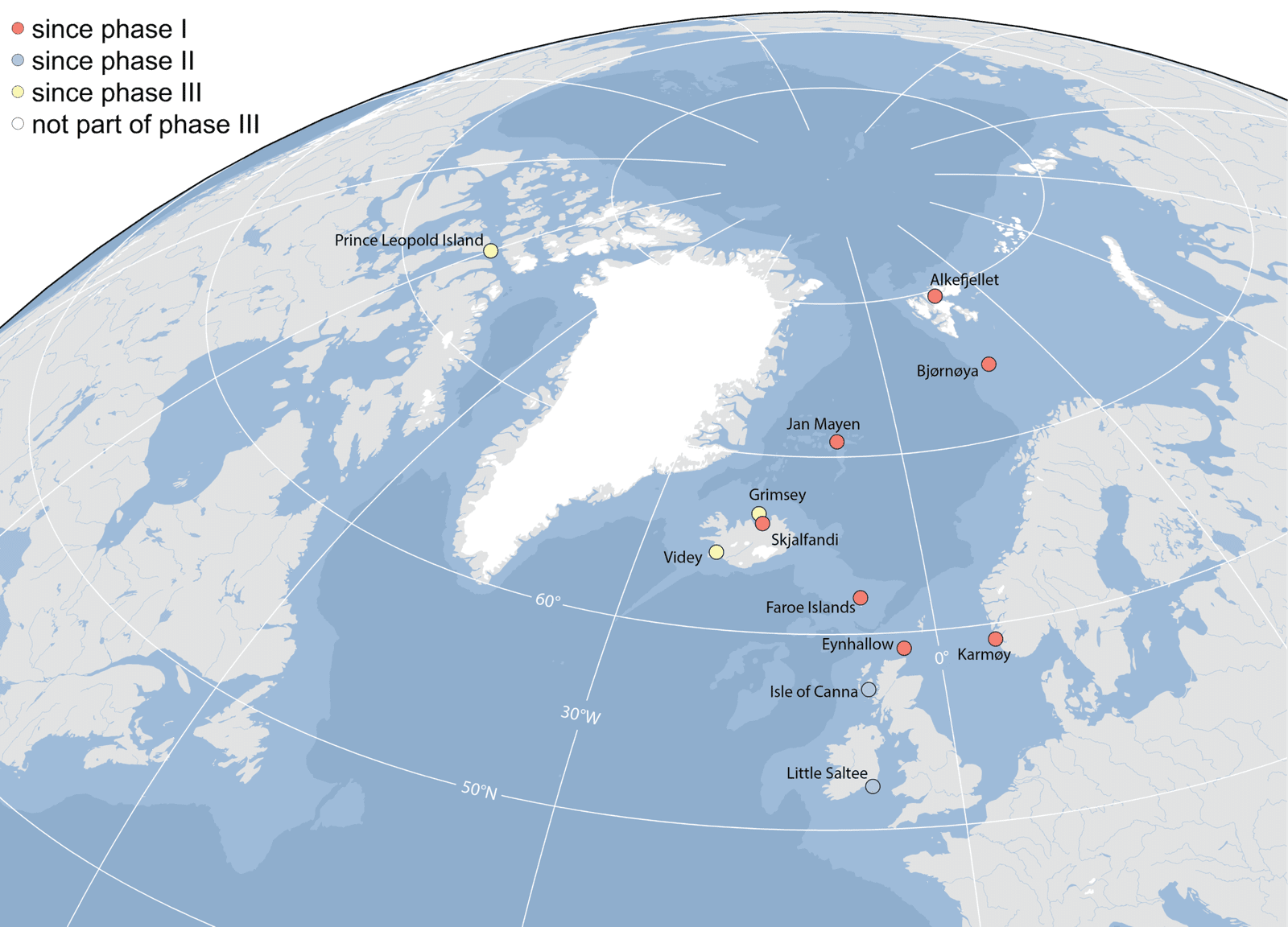 Northern fulmar - SEATRACK