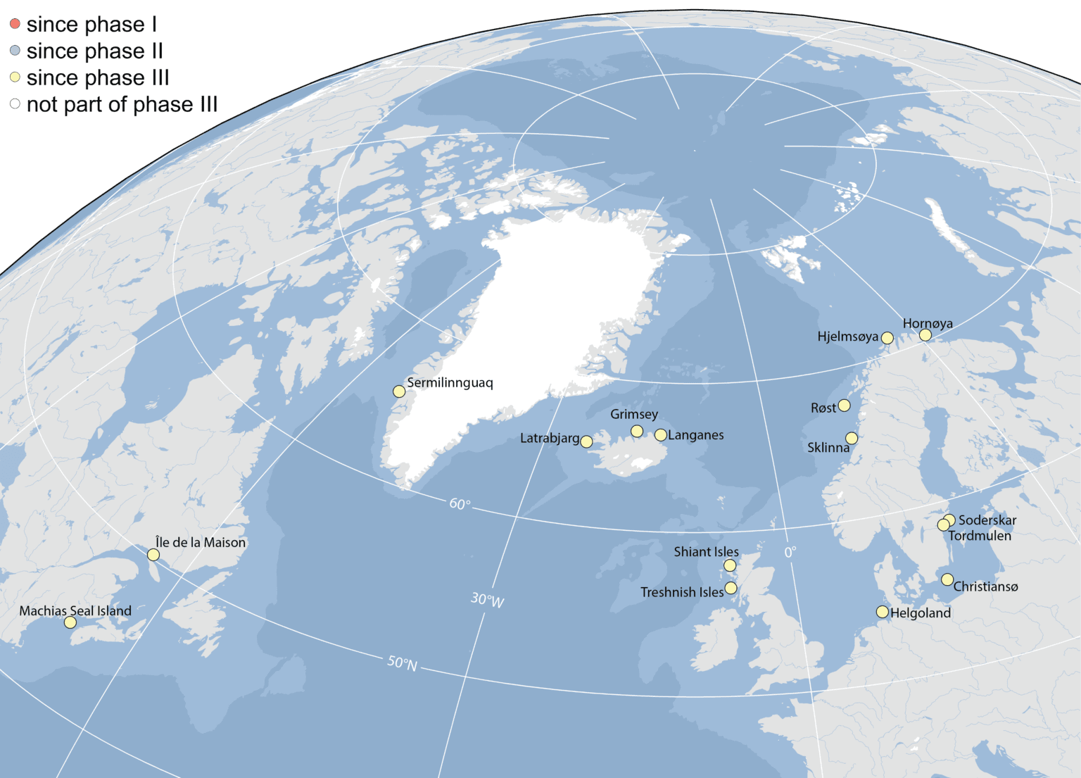 Razorbill - SEATRACK