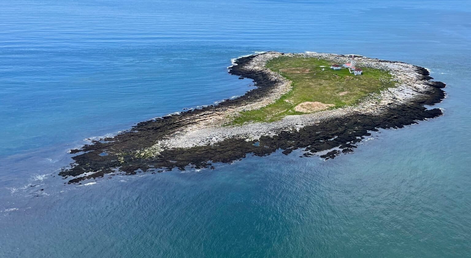 Machias Seal Island - SEATRACK