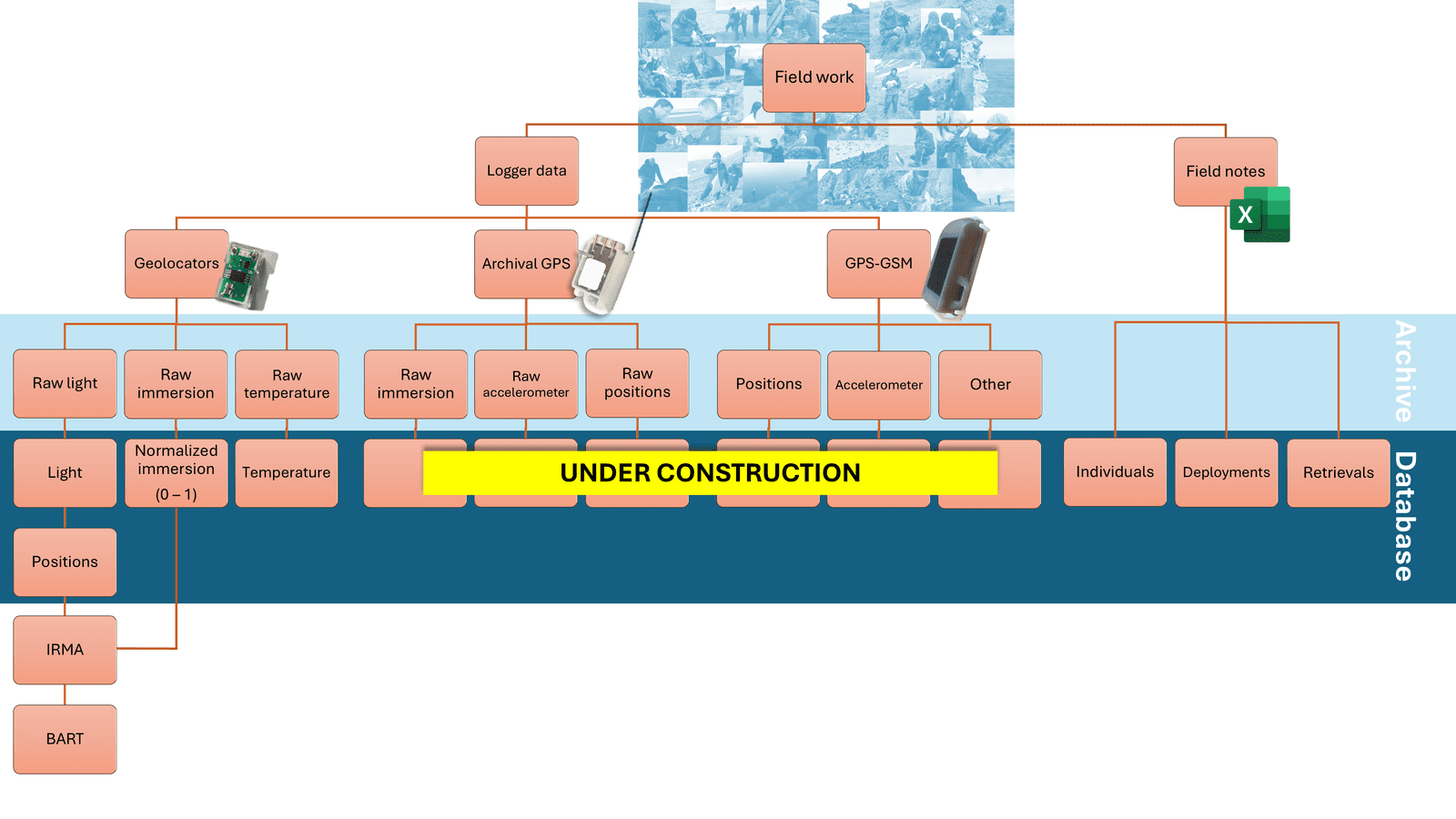 Standardization - SEATRACK